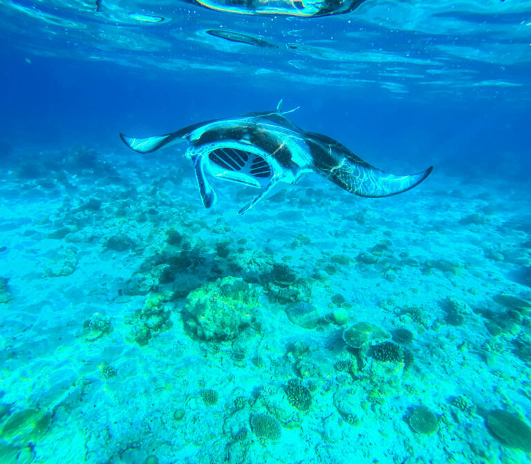 Einheimische Insel Ukulhas: Unsere Tipps und Erfahrungen