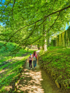 Oettingen in Bayern - Sehenswürdigkeiten & Historischer Markt